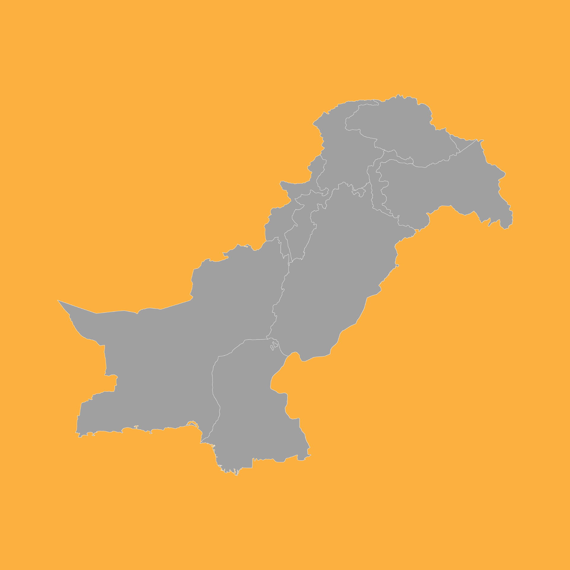 Rest of Pakistan – BoneBrothPK